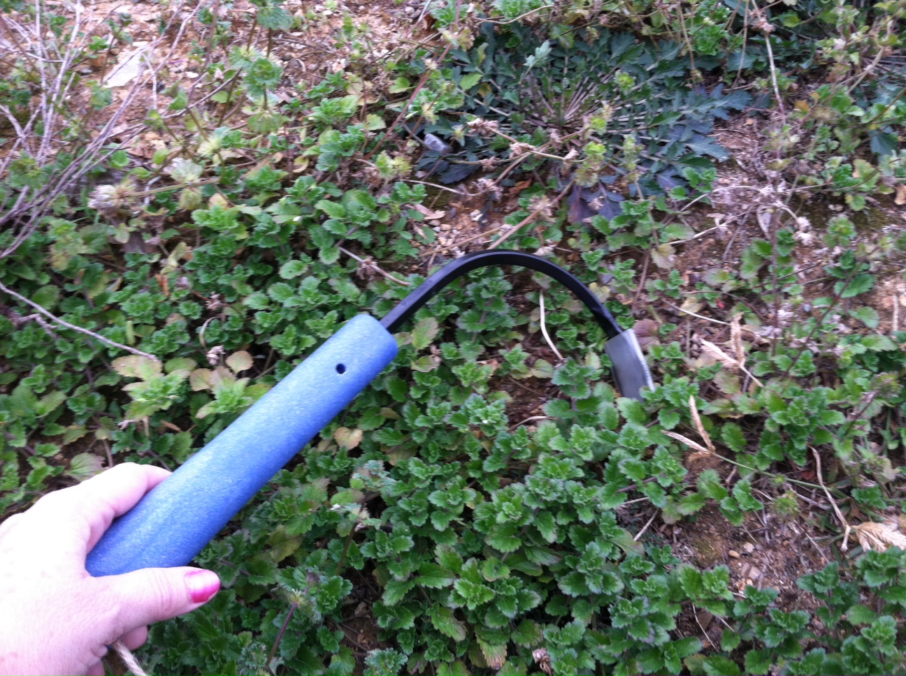 Beaty Fertilizer | Home of Mills Magic Rose Mix